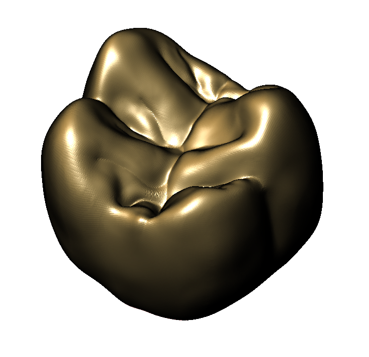 Free STL file Maxillary Molar 1・3D print object to download・Cults