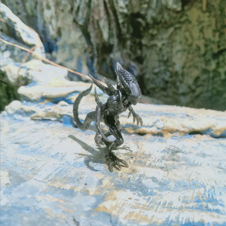 3D file ALIEN DEADLY IMPALER・3D print design to download・Cults