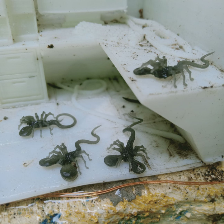 3D file ALIEN BELLY HUGGERS・3D printable model to download・Cults