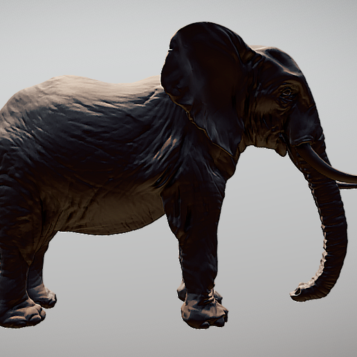 Download OBJ file Elephant • 3D printing object ・ Cults