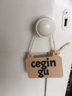 Free 3D file cegin gu・3D printable object to download・Cults