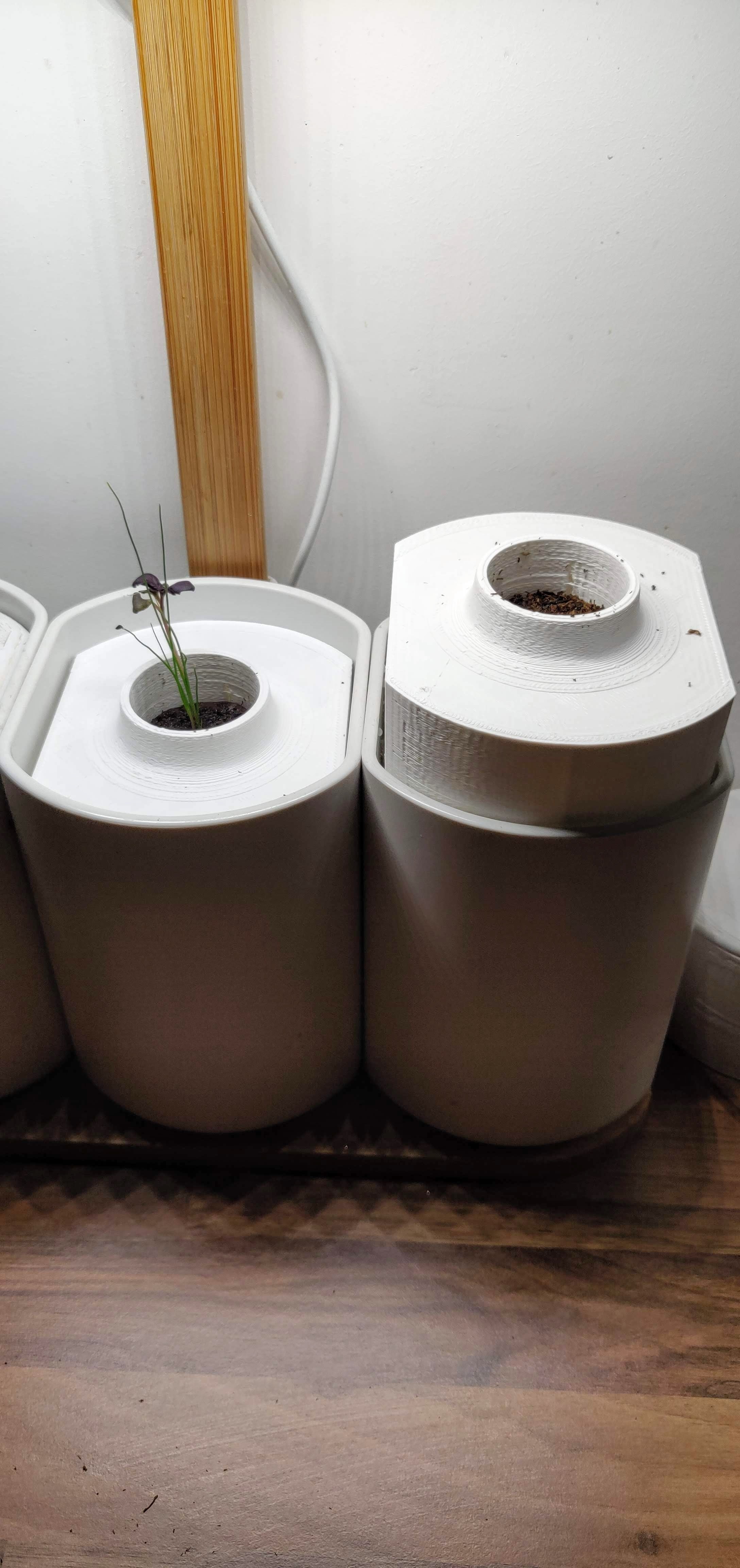 Free STL file Ready to push custom float・3D printable model to download ...