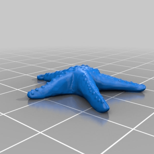 Download free STL file Starfish • 3D printer object ・ Cults
