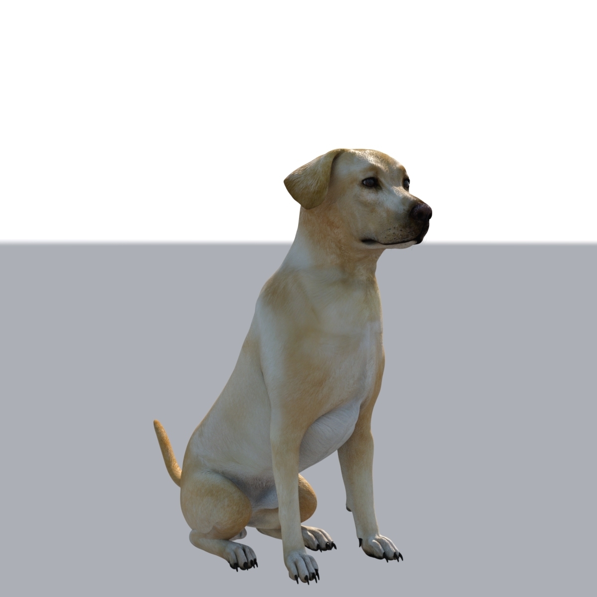 Free STL file Labrador Dog Realistic Pet Lovers Gift Free Stl 🐕・3D ...