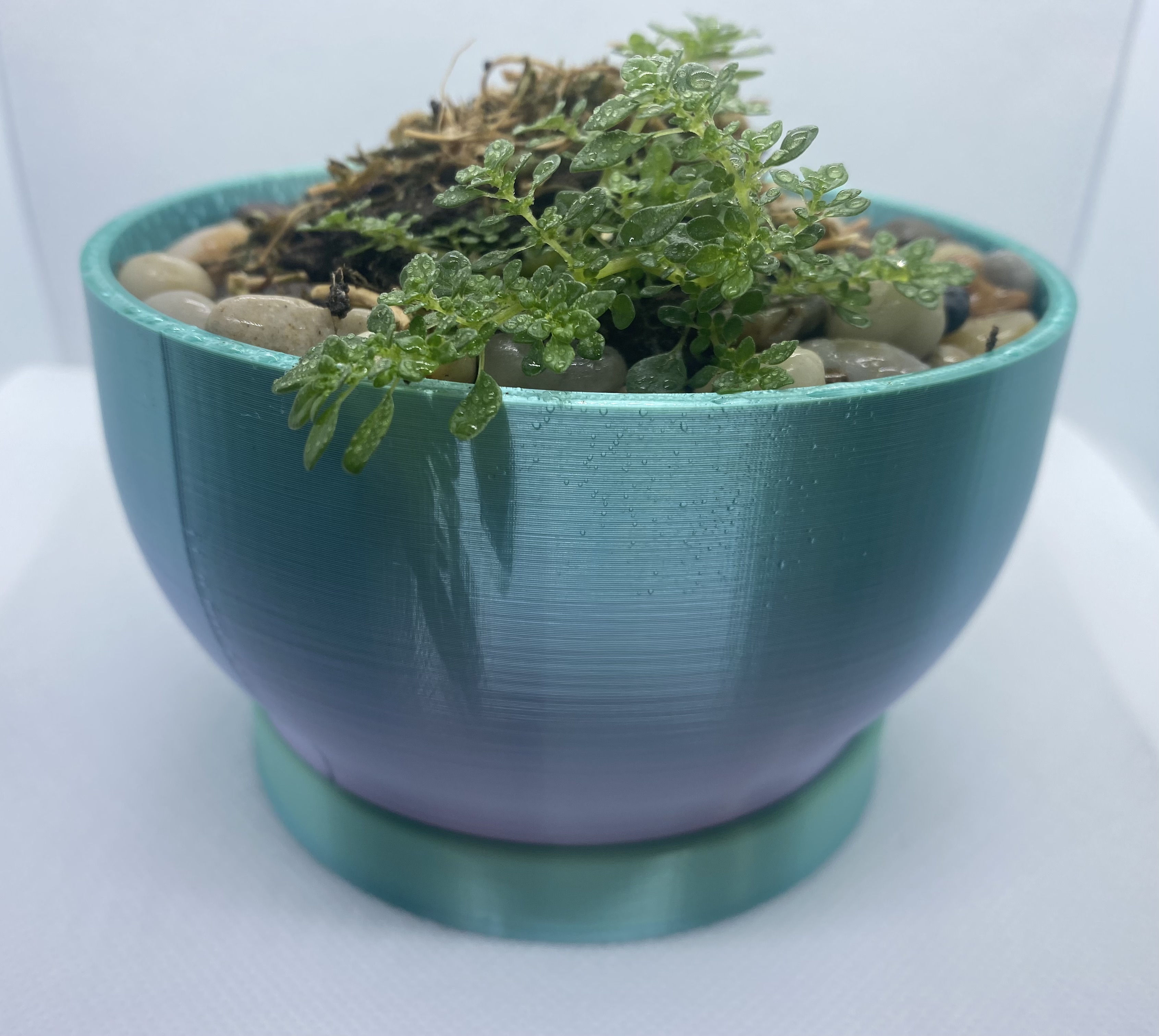 STL file Simple Decorative Pot・3D printable design to download・Cults