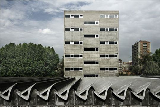 Free STL file Fisac Bone・Template to download and 3D print・Cults