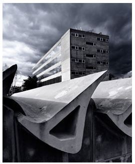 Free STL file Fisac Bone・Template to download and 3D print・Cults