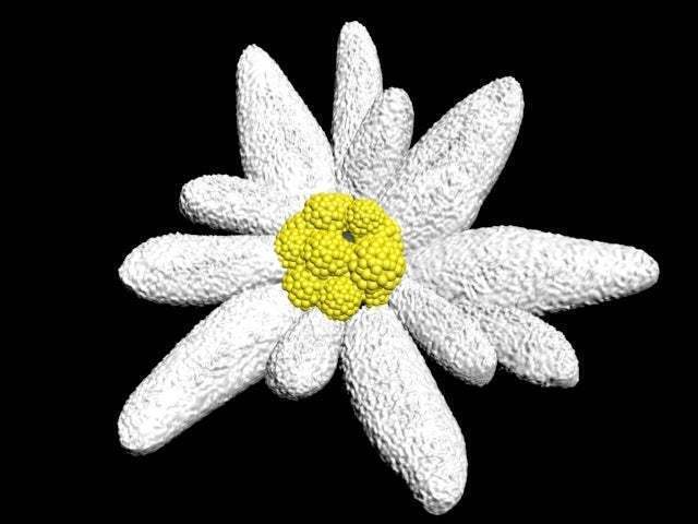 Free STL file Edelweiss / mountian lion・3D printable model to download ...