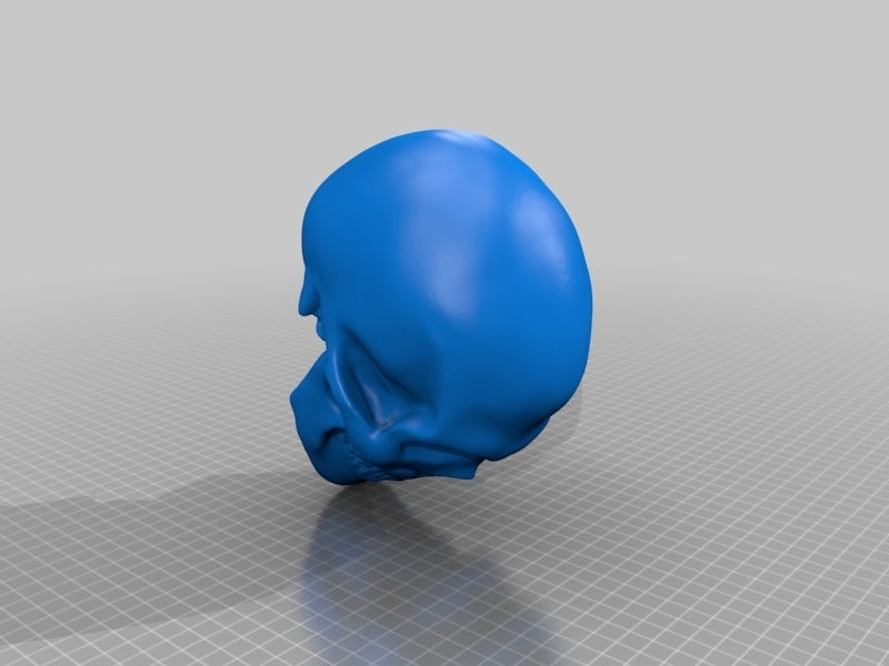 Free OBJ file colorprint skull・3D print object to download・Cults