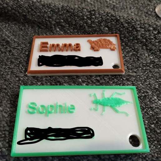 Download free STL file Badge with space for name with stick insect 3d ...