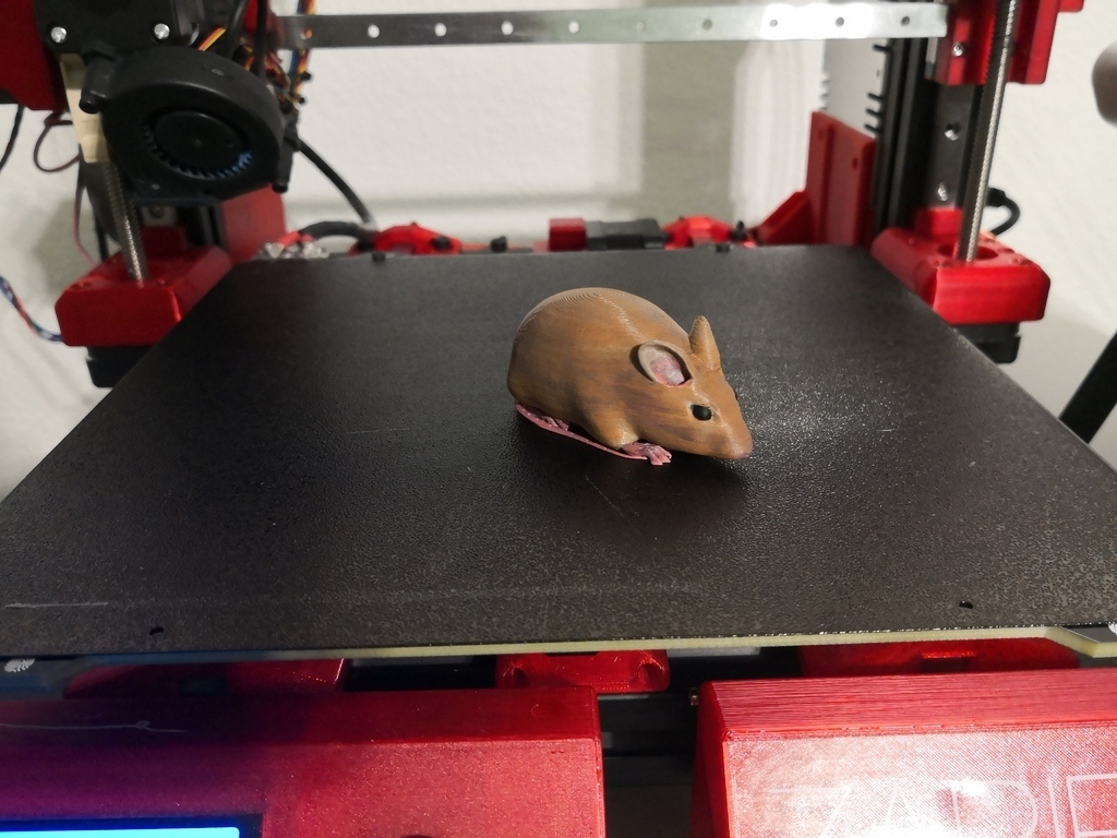 Free 3D file Mouse・Design to download and 3D print・Cults