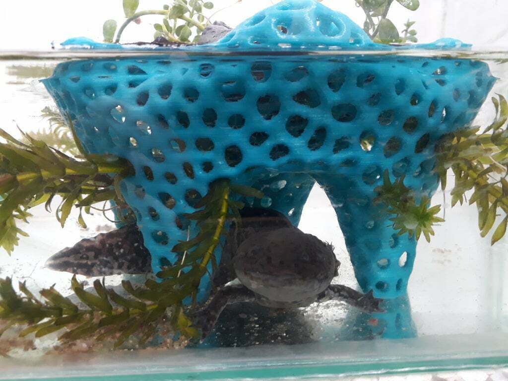 Free STL file Aquarium planter 🪴・3D print object to download・Cults