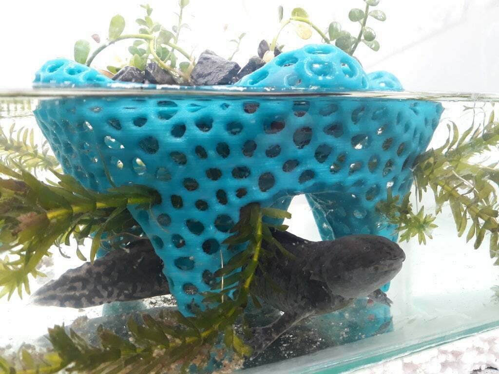 Free STL file Aquarium planter 🪴・3D print object to download・Cults