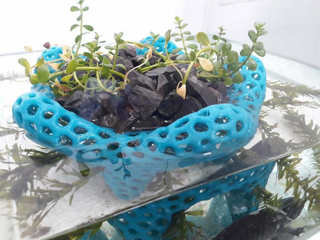 Free STL file Aquarium planter 🪴・3D print object to download・Cults