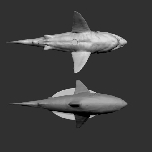 Download 3D model Great white Shark - 3D Print Model 3D print model ・ Cults