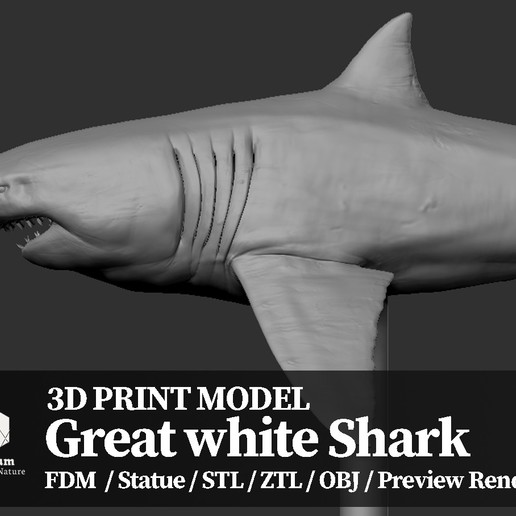 Download 3D model Great white Shark - 3D Print Model 3D print model ・ Cults