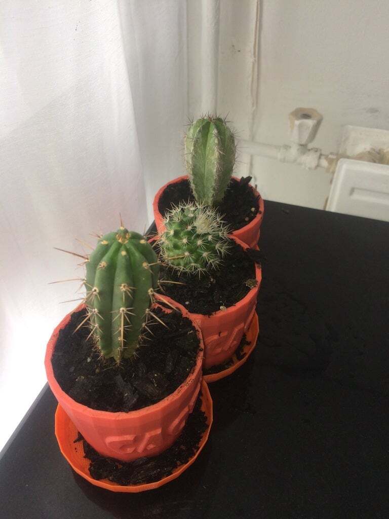 Archivo STL gratis 3 cactus pot (remix de Eric Roos)・Plan imprimible en ...