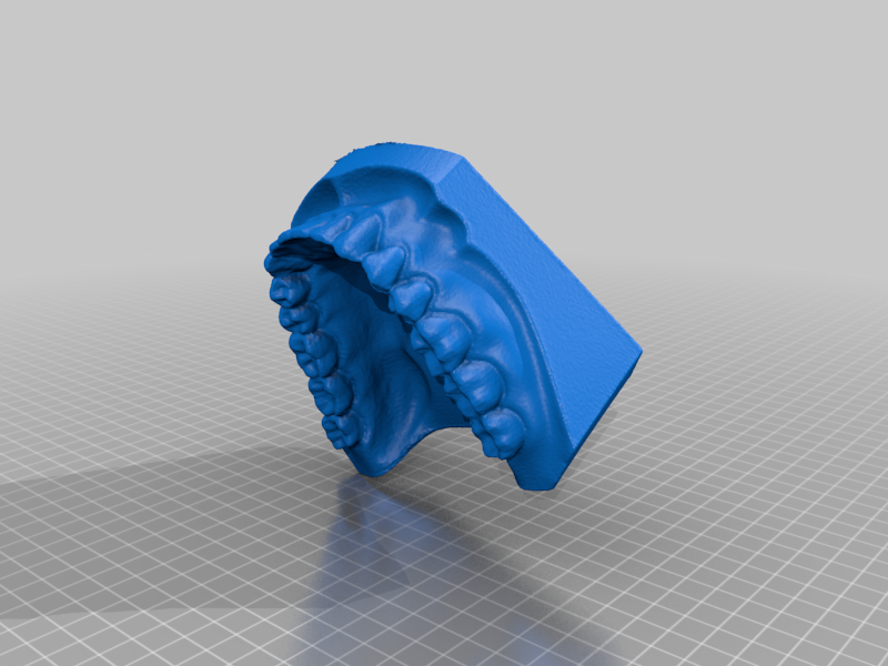 Free 3D file Human Teeth・3D printer model to download・Cults