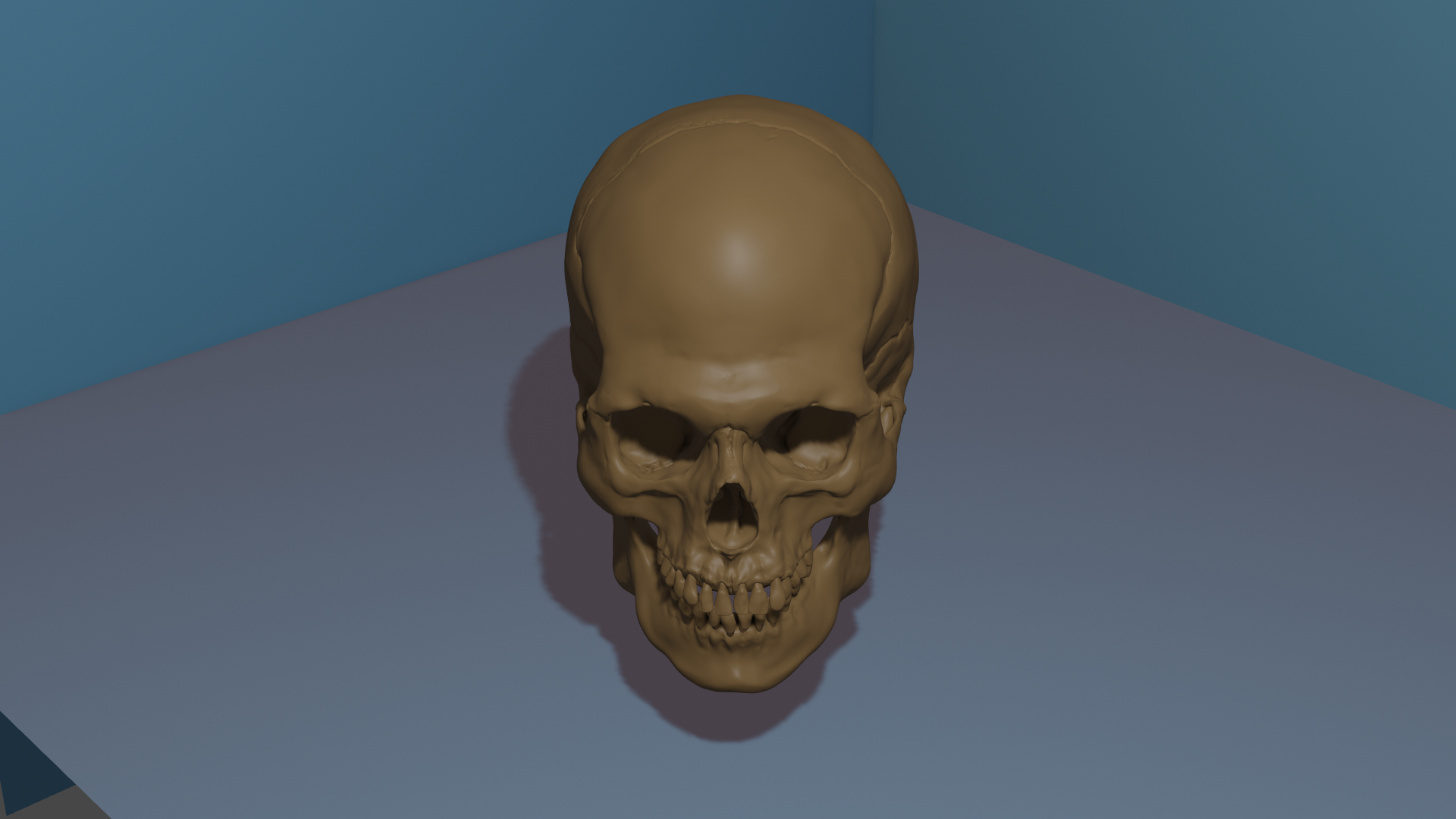 STL file 3D Skull・3D printable model to download・Cults