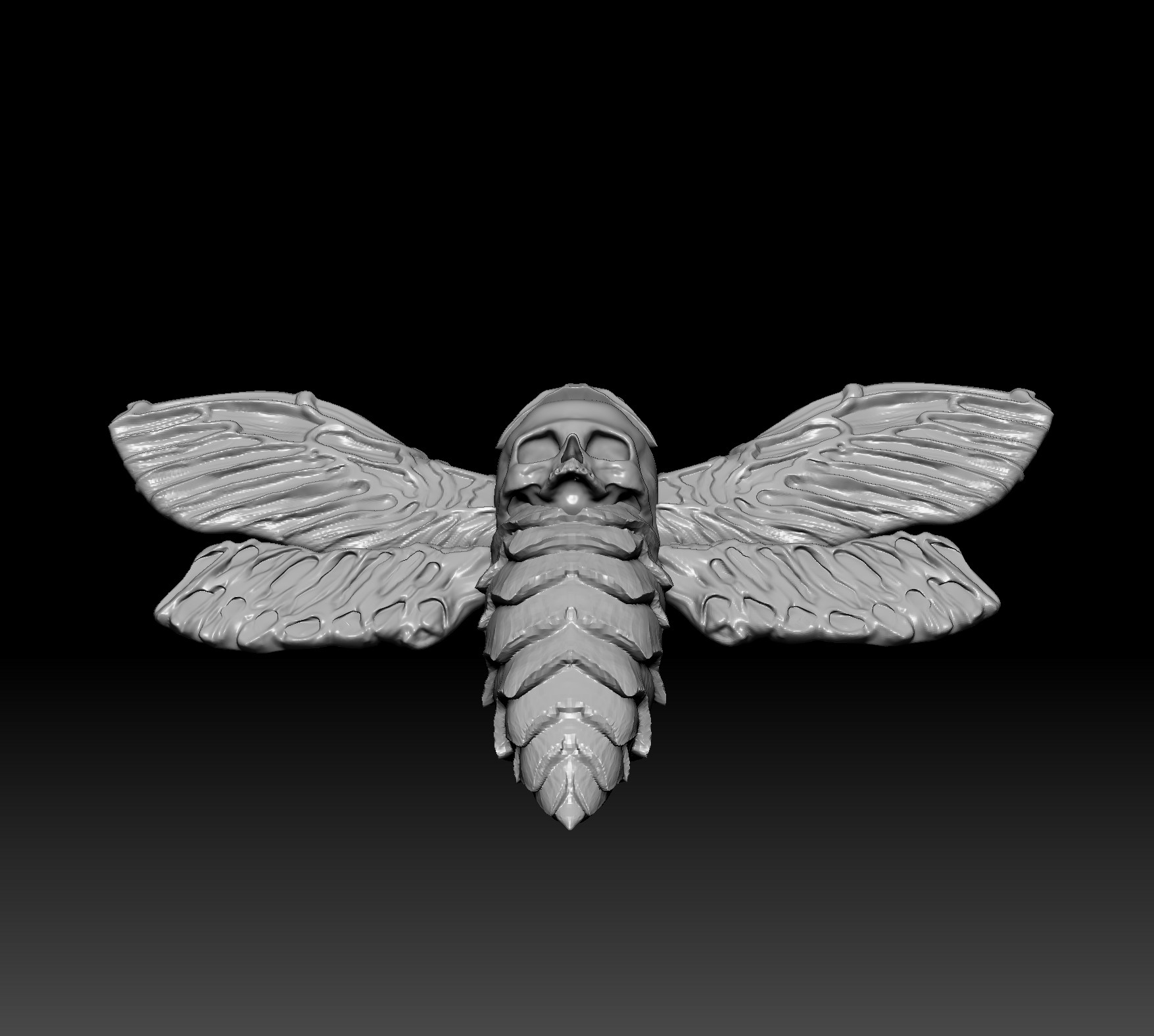 STL file Death's Head Hawk Moth 🦅・3D printing idea to download・Cults