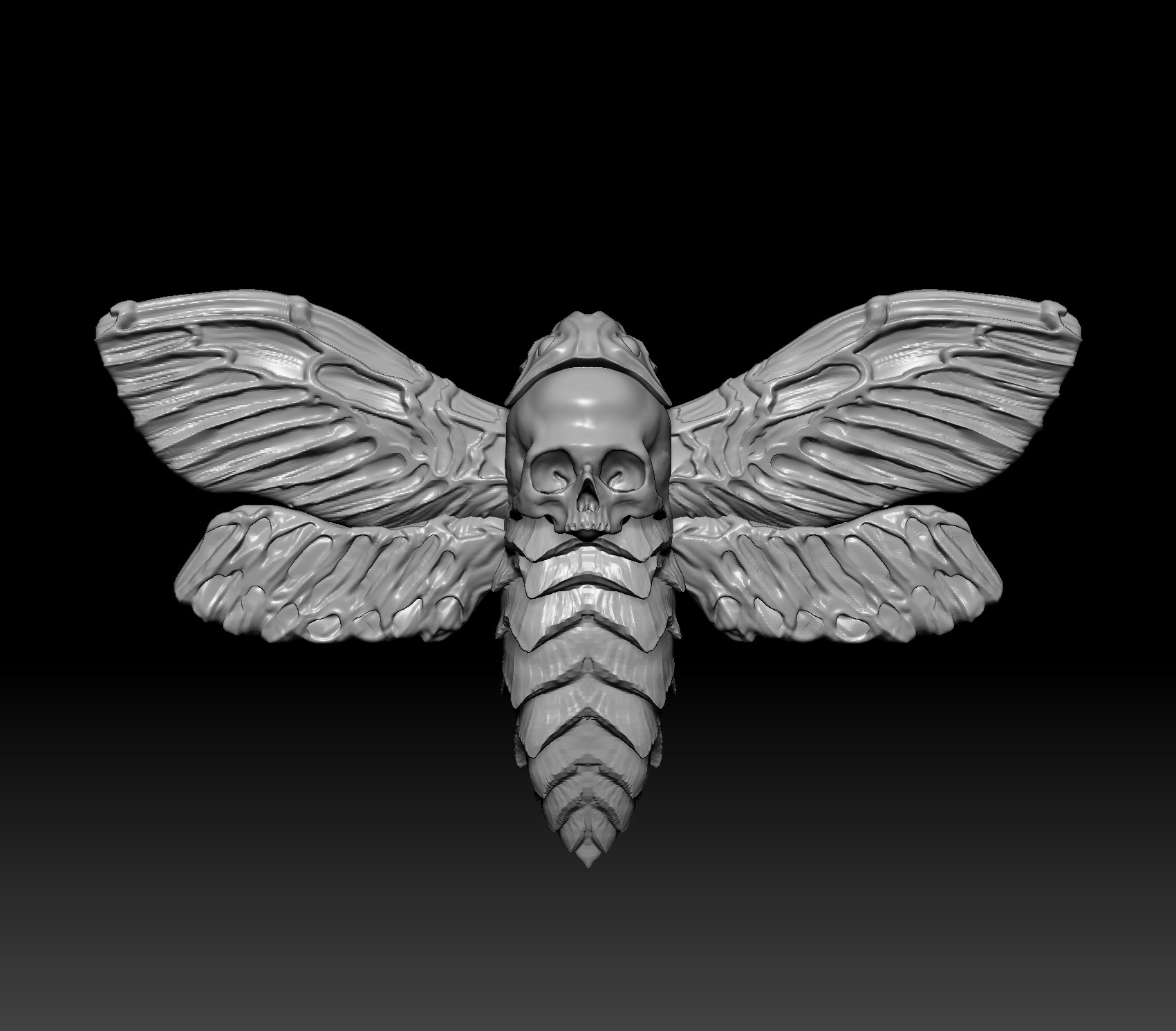STL file Death's Head Hawk Moth 🦅・3D printing idea to download・Cults