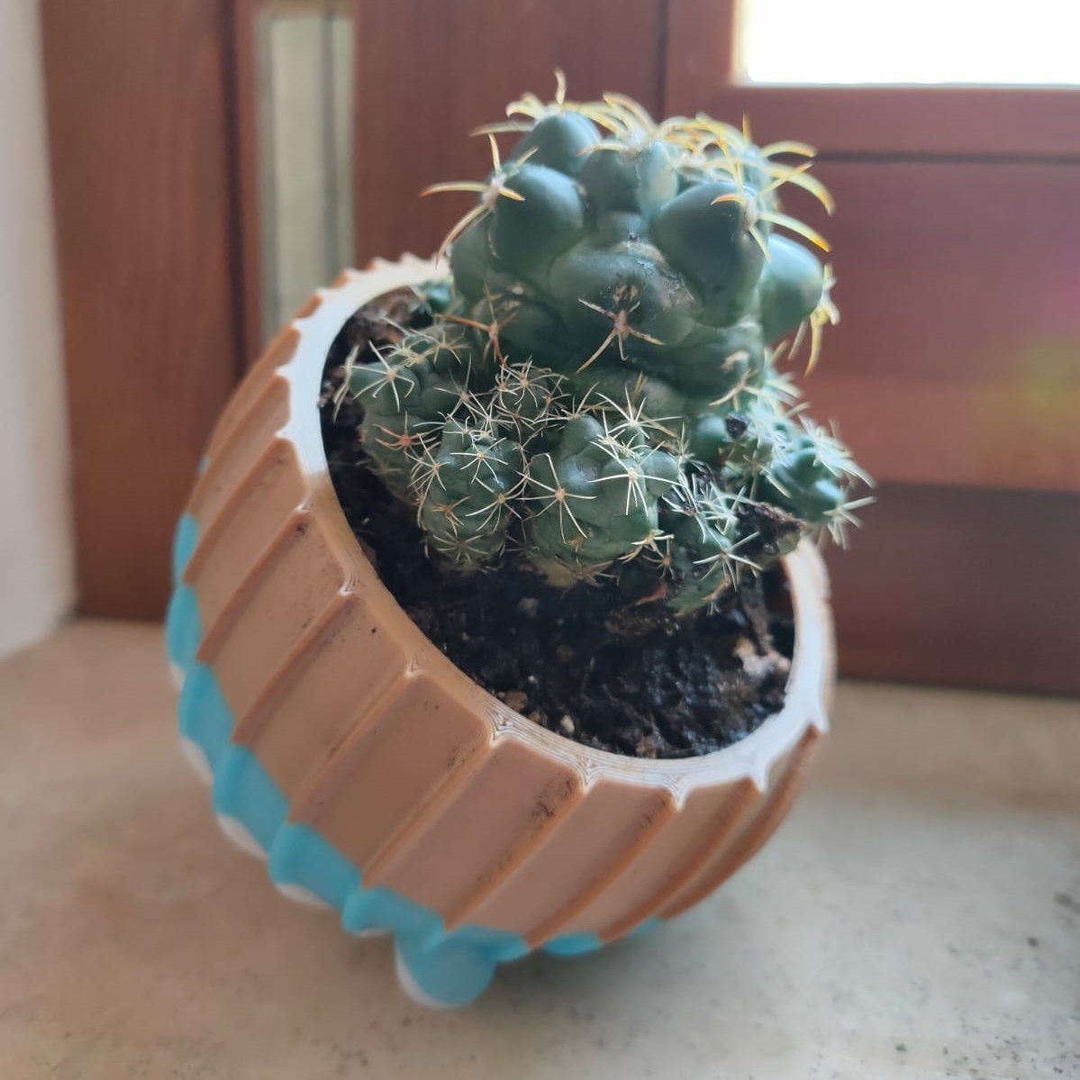 3D printable Planter- Candy model • made with Alfawise U30 Pro・Cults