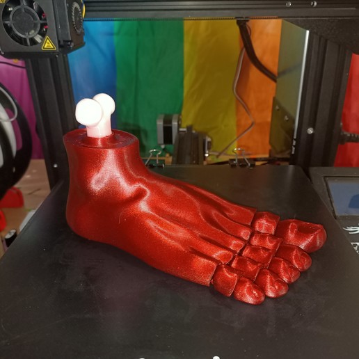 3D printed Flexi Print-in-Place Foot • made with Ender 3 Pro. ・ Cults