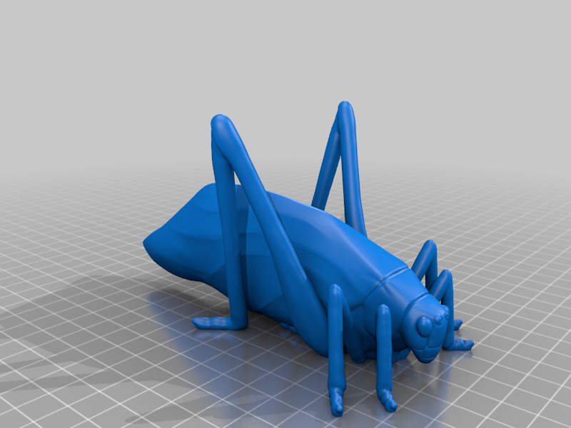 Free STL file Esperanza (genus) insect・3D printable model to download・Cults