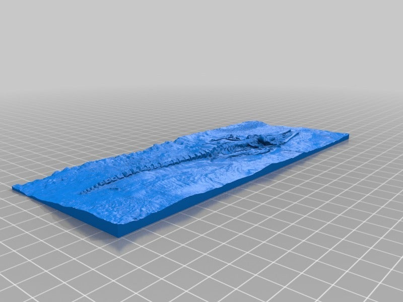 Free STL file Fossil Whale Optimized for Desktop 3D Printing・Design to ...