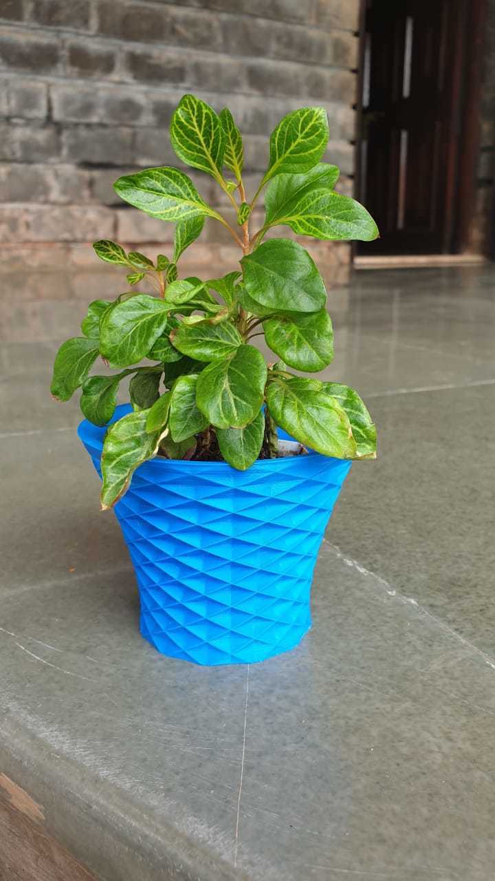 Файл STL Plant Potter Collection 🌿・Идея 3D-печати для скачивания・Cults