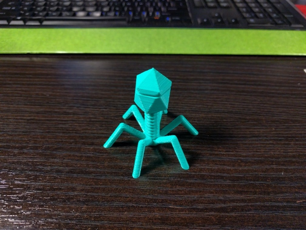 How To Build A Bacteriophage Model