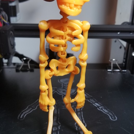 3D printer Cute Flexi Print-in-Place Skeleton • made with Ender 3 Pro ...