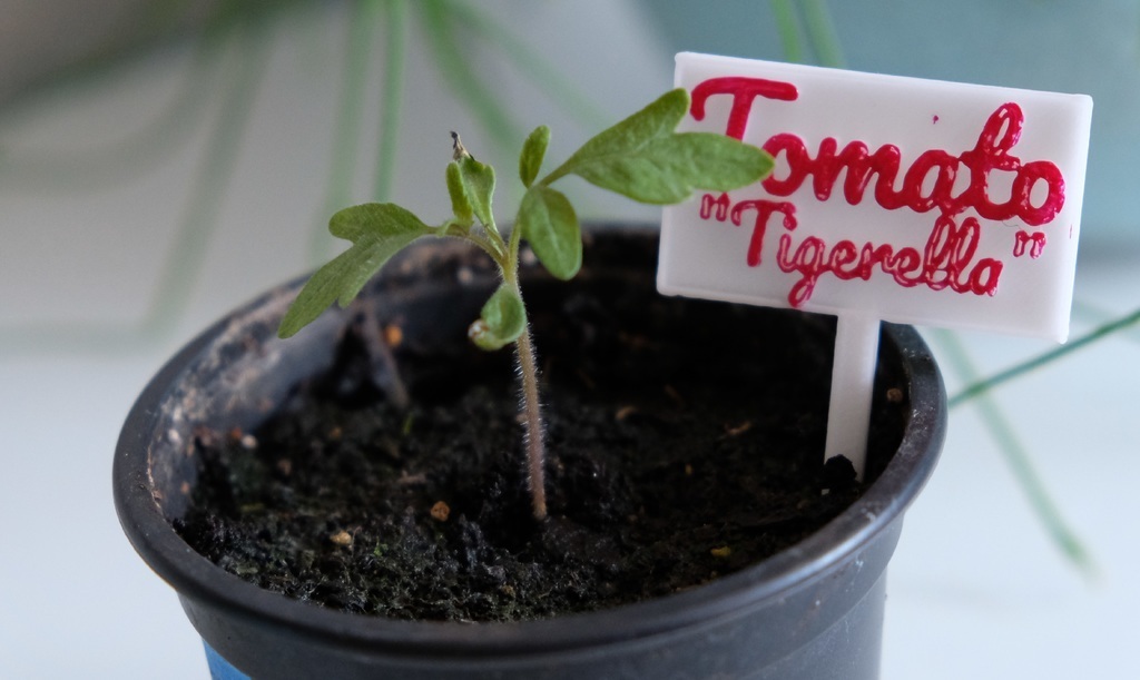 Free 3D file Plant Sign two lines 🌿・3D printing model to download・Cults