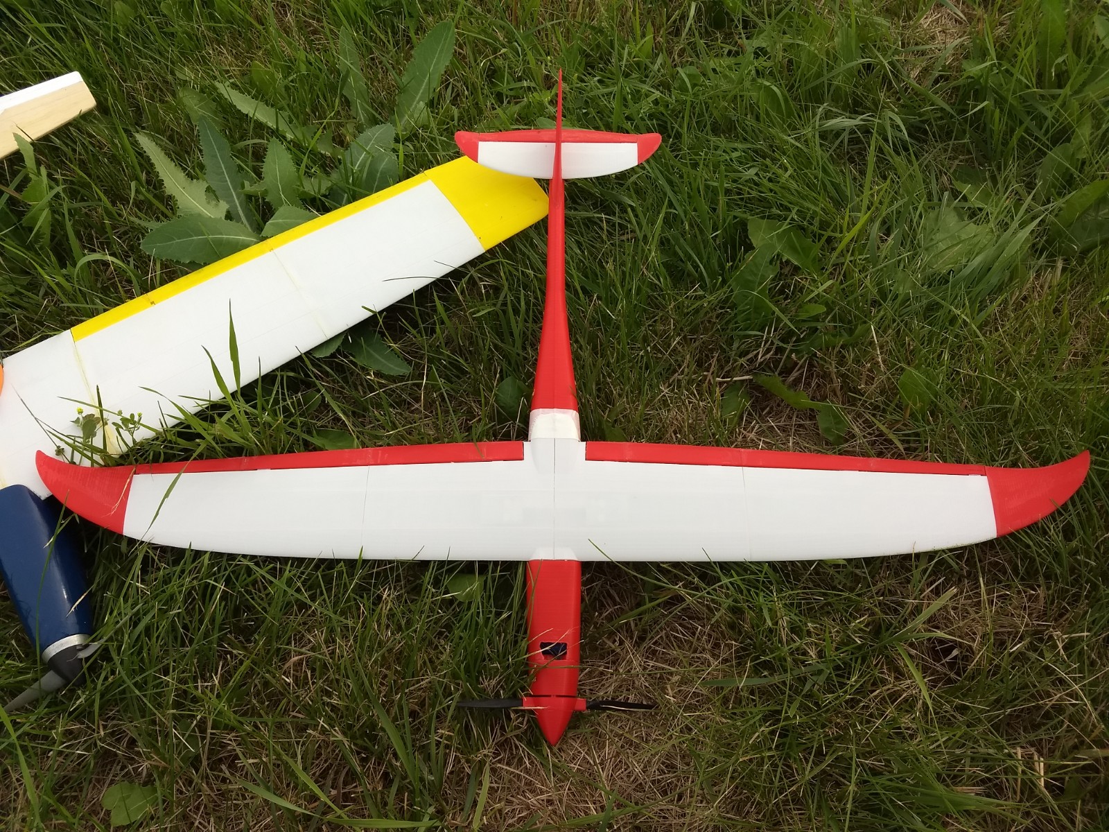 3D file Stinger 3D printed - Sp400 pylon racer ️・3D print design to ...