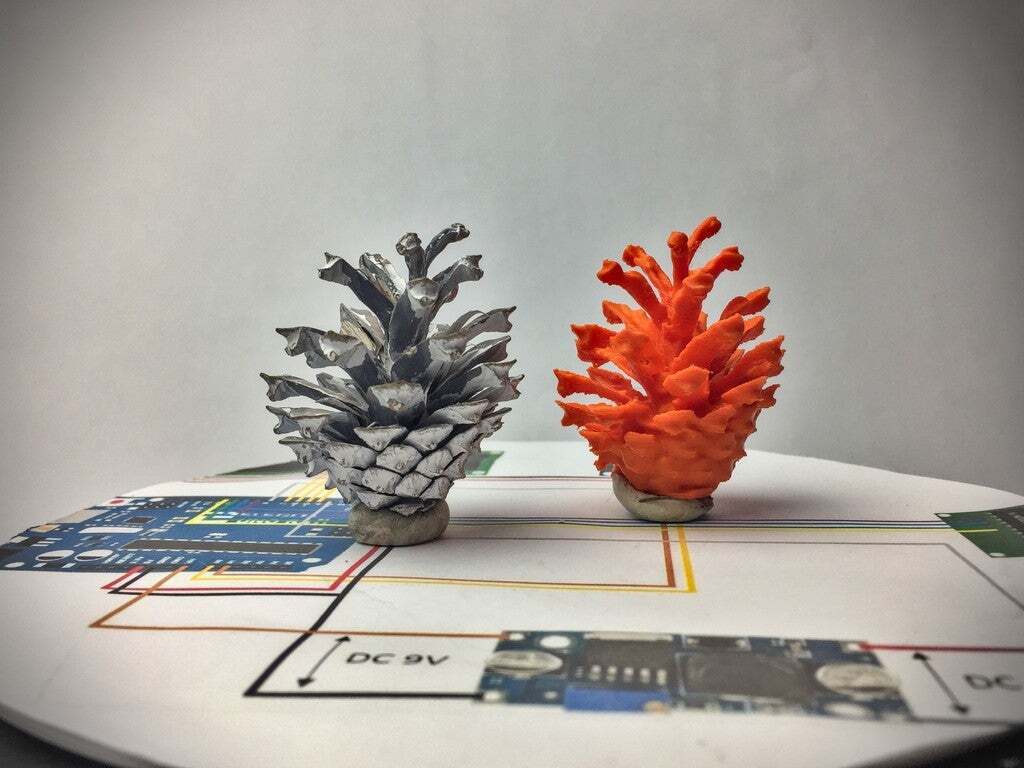 Free STL file Pine and Spruce Cone - 3D-Scan Examples・3D printable ...