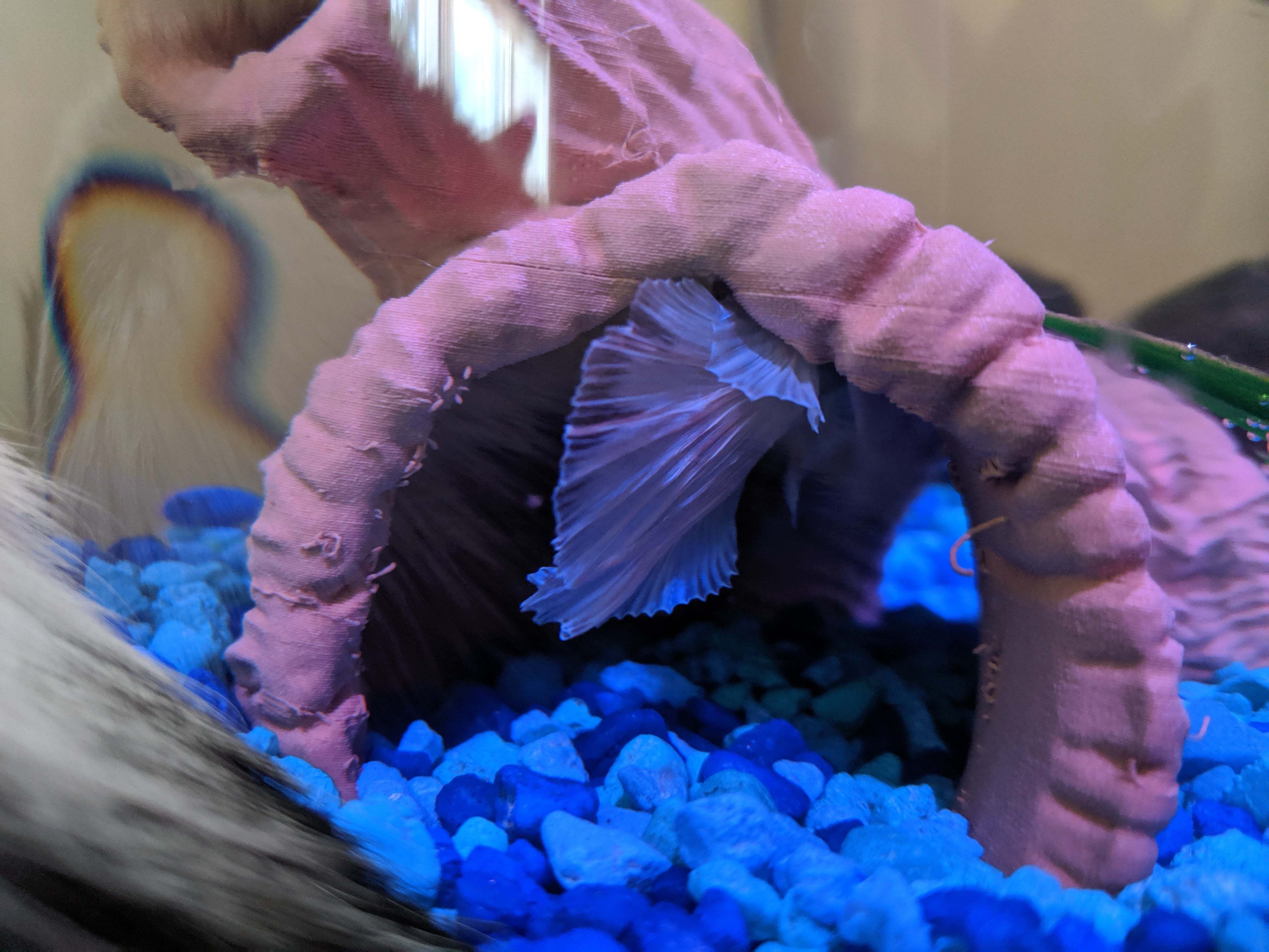 Free STL file Pet Log for Fish Tank・3D printable model to download・Cults