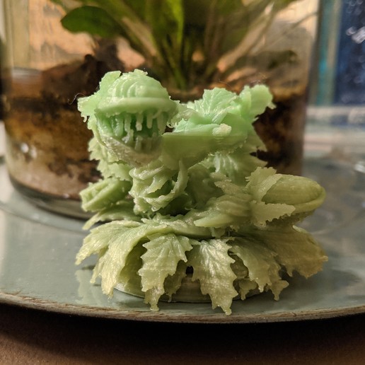 3D printing Maneater Plant 50mm Large Creature for Tabletop Adventures ...