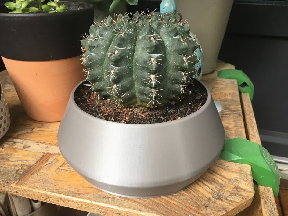 Free STL file Simple Cactus Planter・3D printable design to download・Cults