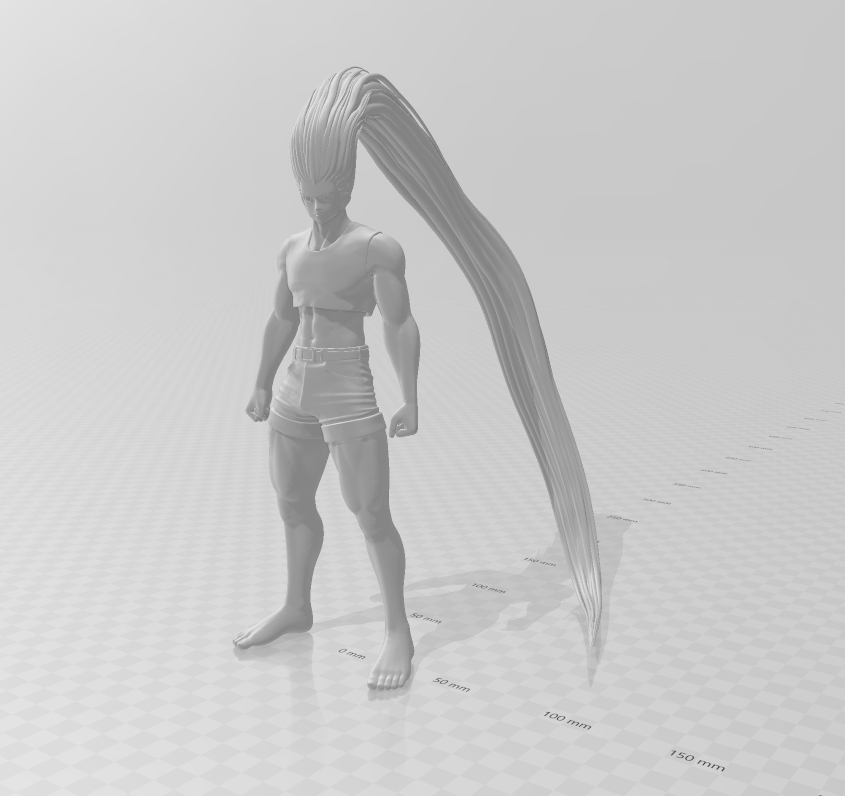 Gon Freecs Transformation