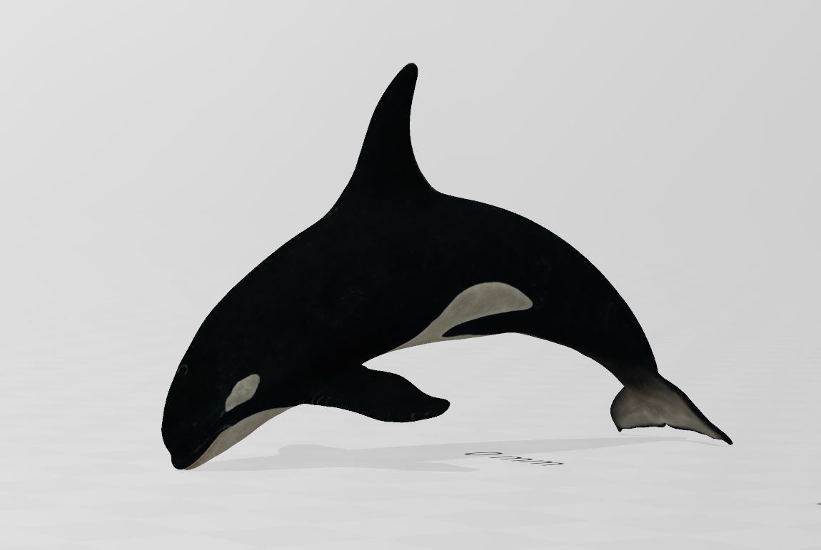 Free STL file Orca・3D printing idea to download・Cults