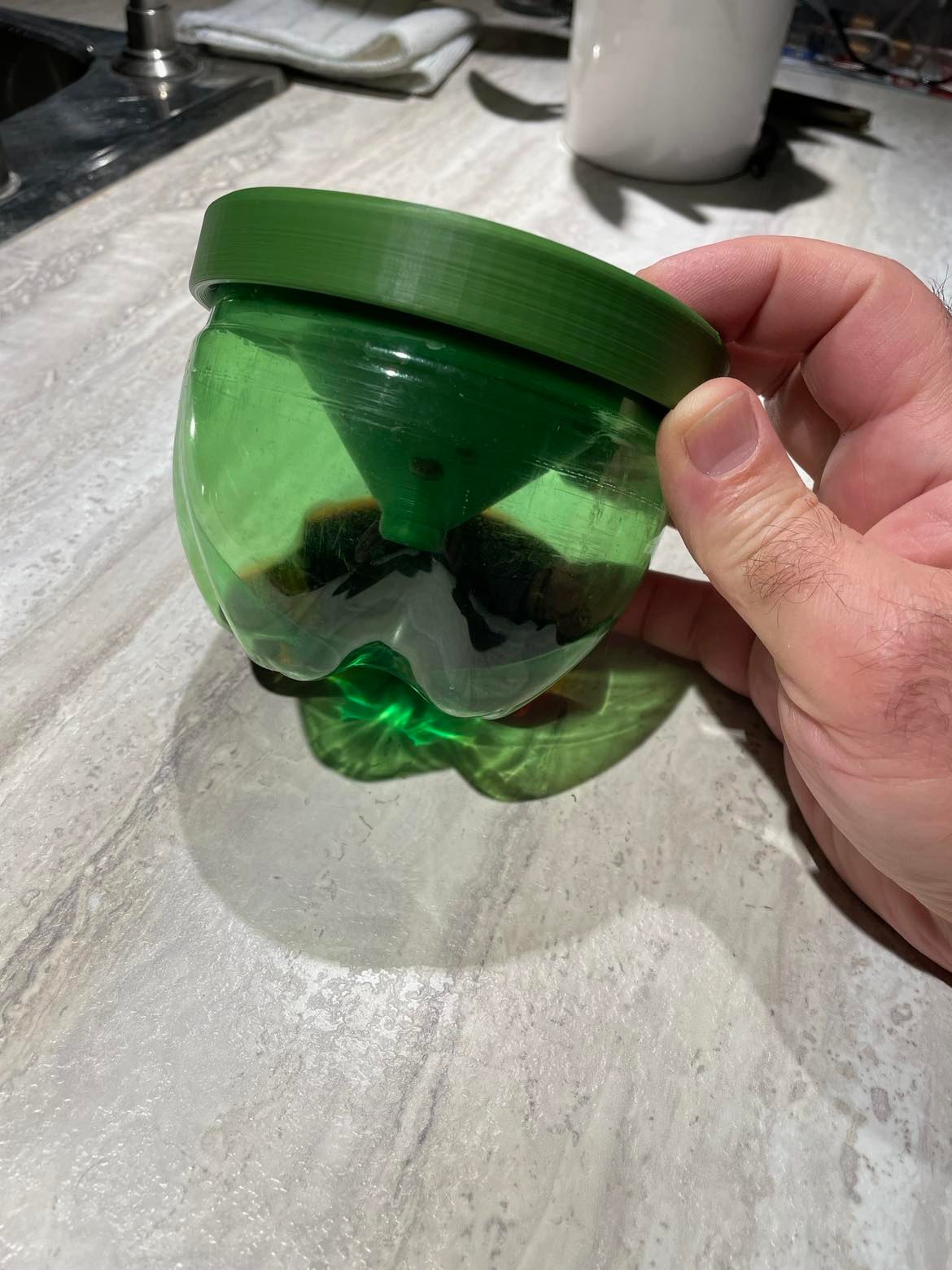 STL file Fruit fly trap / Fly trap・3D printer design to download・Cults