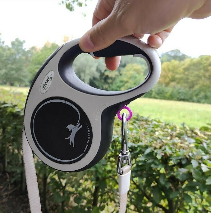 Free 3D file flexi leash dog ring・3D printer model to download・Cults