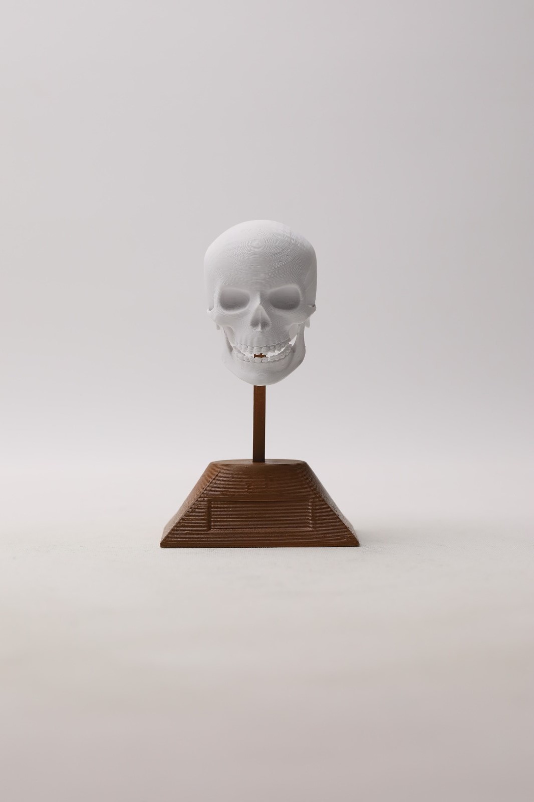 Free STL file skull 💀・Model to download and 3D print・Cults