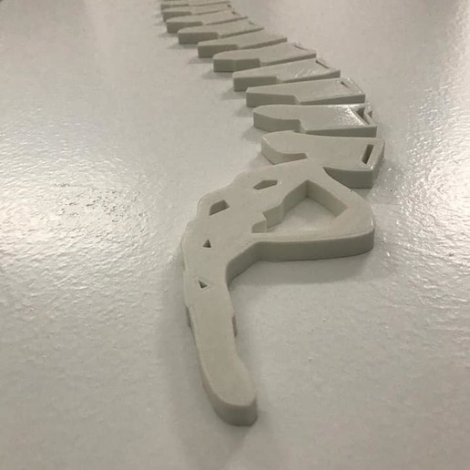 Download free STL file Spine Wall Decor • 3D printable design ・ Cults