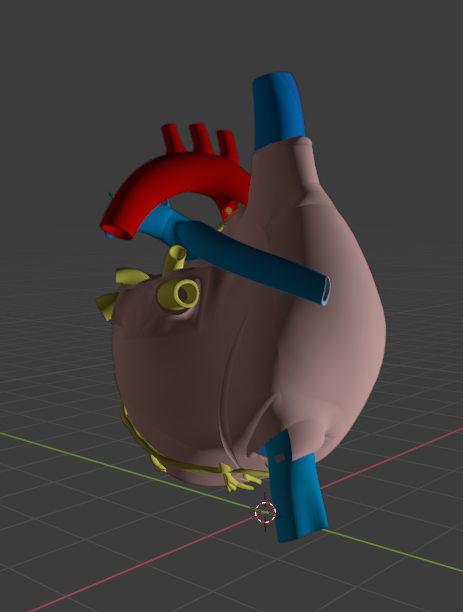 STL file Royal Anatomical Heart (half heart)・3D printer design to ...