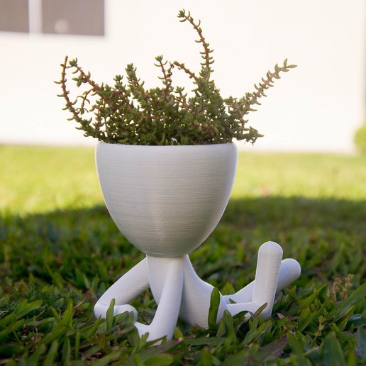 Download free STL file Robert Plant Pot • Model to 3D print ・ Cults