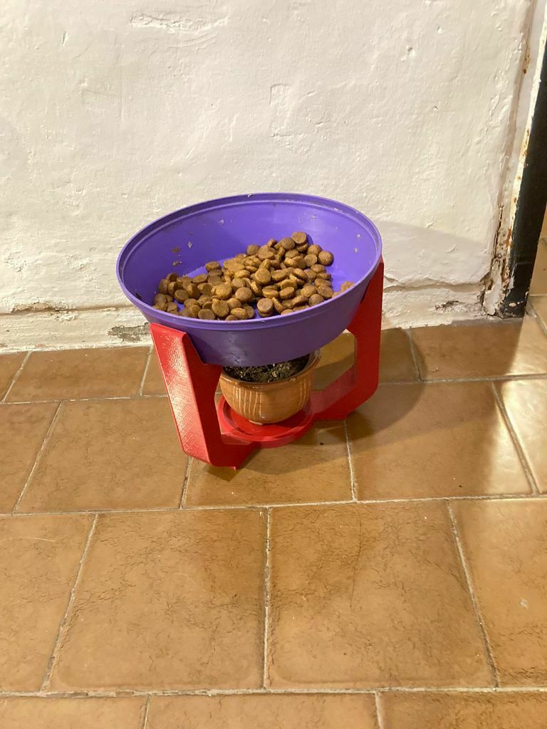 Free 3D file Dog bowl stand 🐕・3D print model to download・Cults