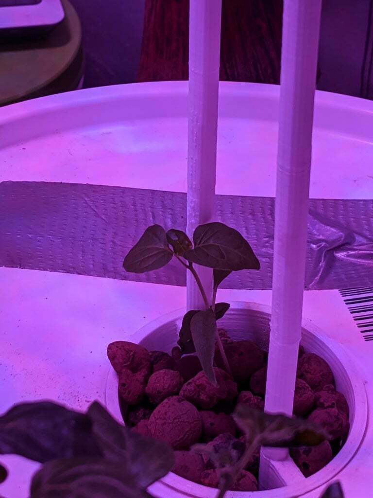 Free STL file Hydroponic Net Cup with Vertical Supports・3D print design ...