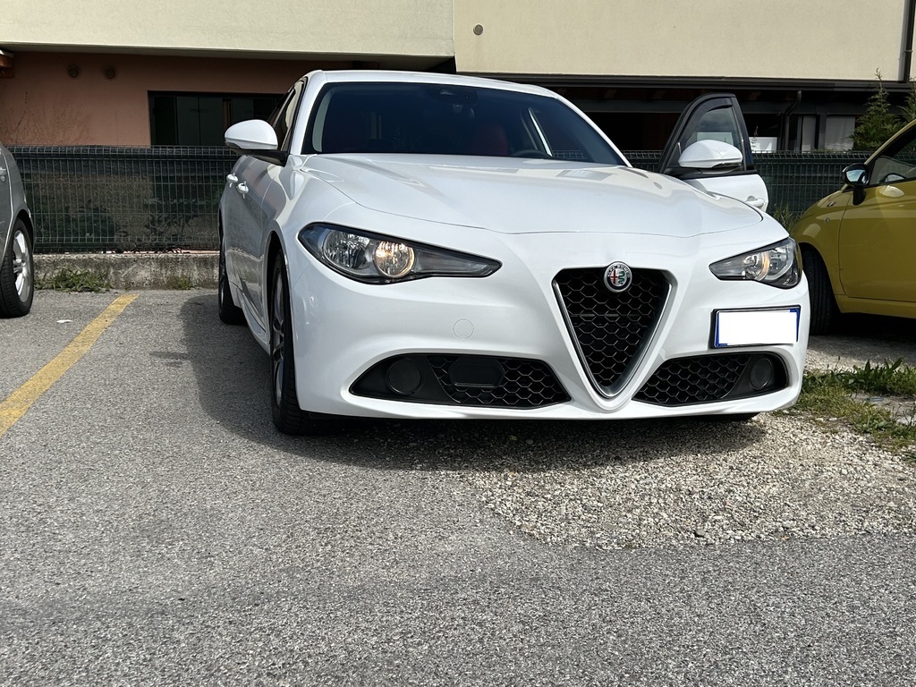 Free 3D file AR Giulia 952・3D printable model to download・Cults