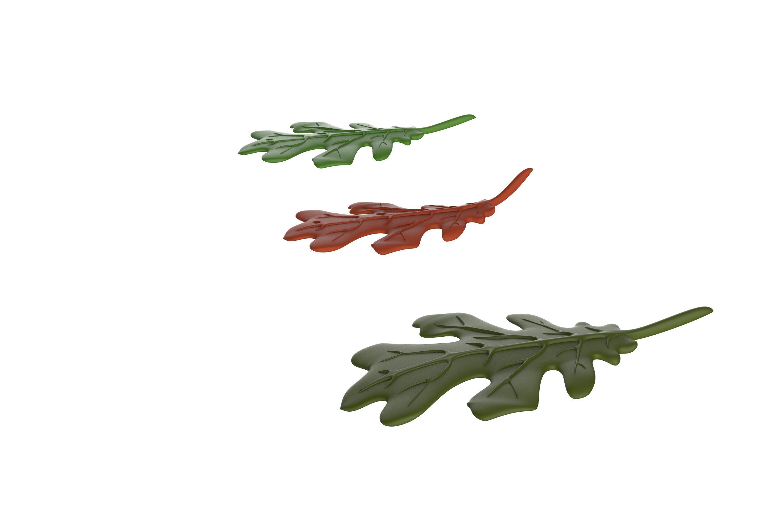 Cartoon Oak Leaf
